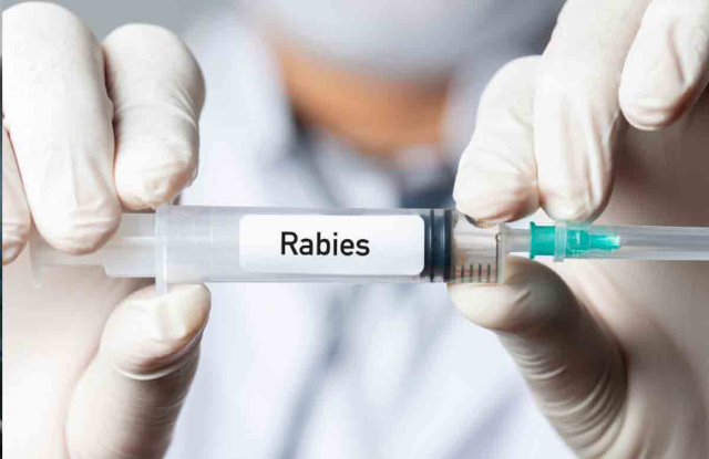 GoRiau - Gratis, Vaksin Anti Rabies Gratis Tersedia di Seluruh ...