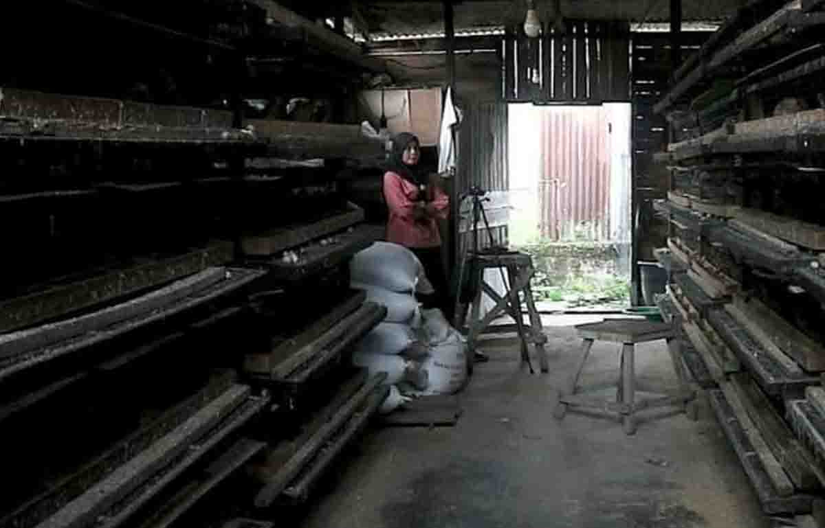 GoRiau - Kisah Ela, Perempuan Pekanbaru yang Sukses Kembangkan Budidaya ...