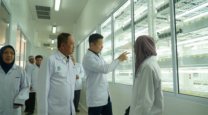 GoRiau - Diresmikan Menristekdikti, Kerinci Tissue Culture Laboratory ...