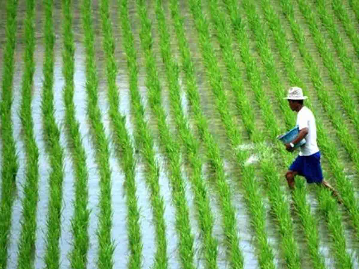 GoRiau - Ini Hasil Sensus Pertanian 2023 di Riau GoRiau - Ini Hasil Sensus Pertanian 2023 di Riau