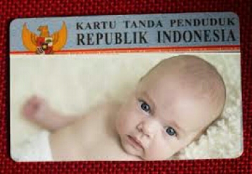 GoSumbar.com - Bayi Wajib Miliki KTP, Berlaku Mulai 19 Januari 2016 ...