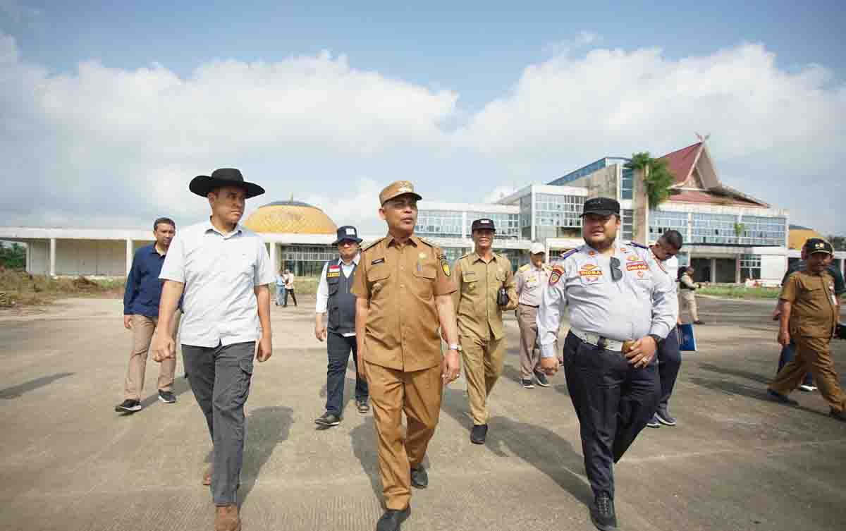 GoRiau - Bandara Tempuling Tembilahan Sudah Lama tak Beroperasi, Begini ...